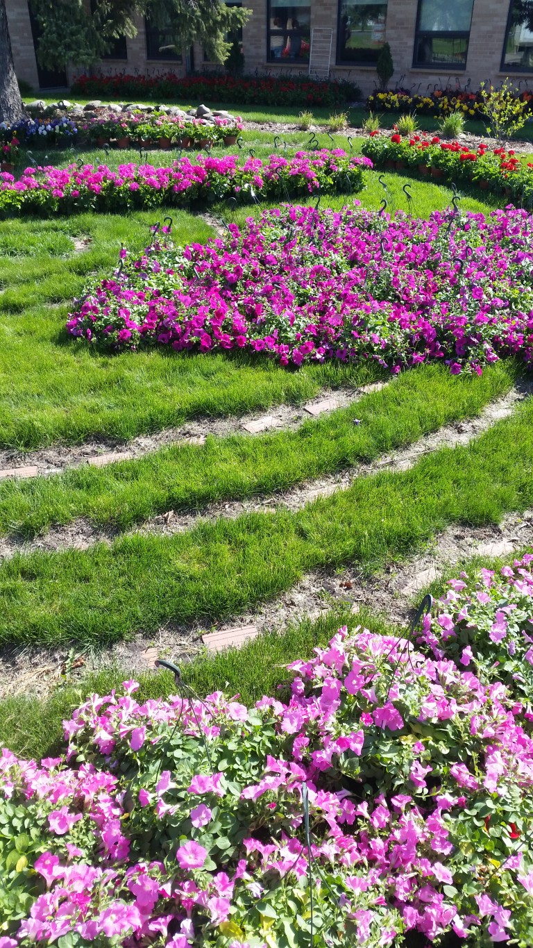 Spring Fling Flowers! - Cross of Calvary